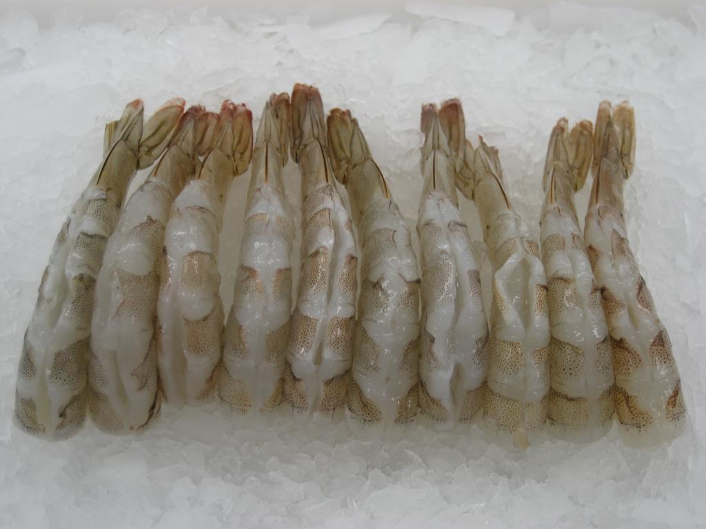 Grupo MC Gourmet S.A de C.V